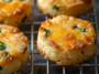 Cheesy Jalapeño Shortbread Recipe – Findatorr